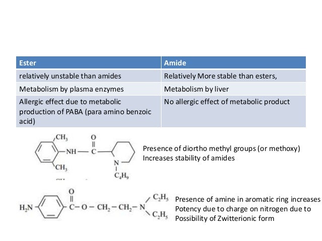 amide vs ester local anaesthetics