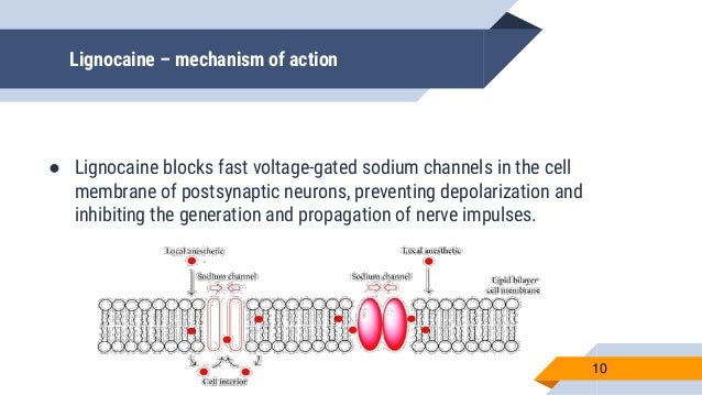 Local anesthetic - for minor surgical procedures