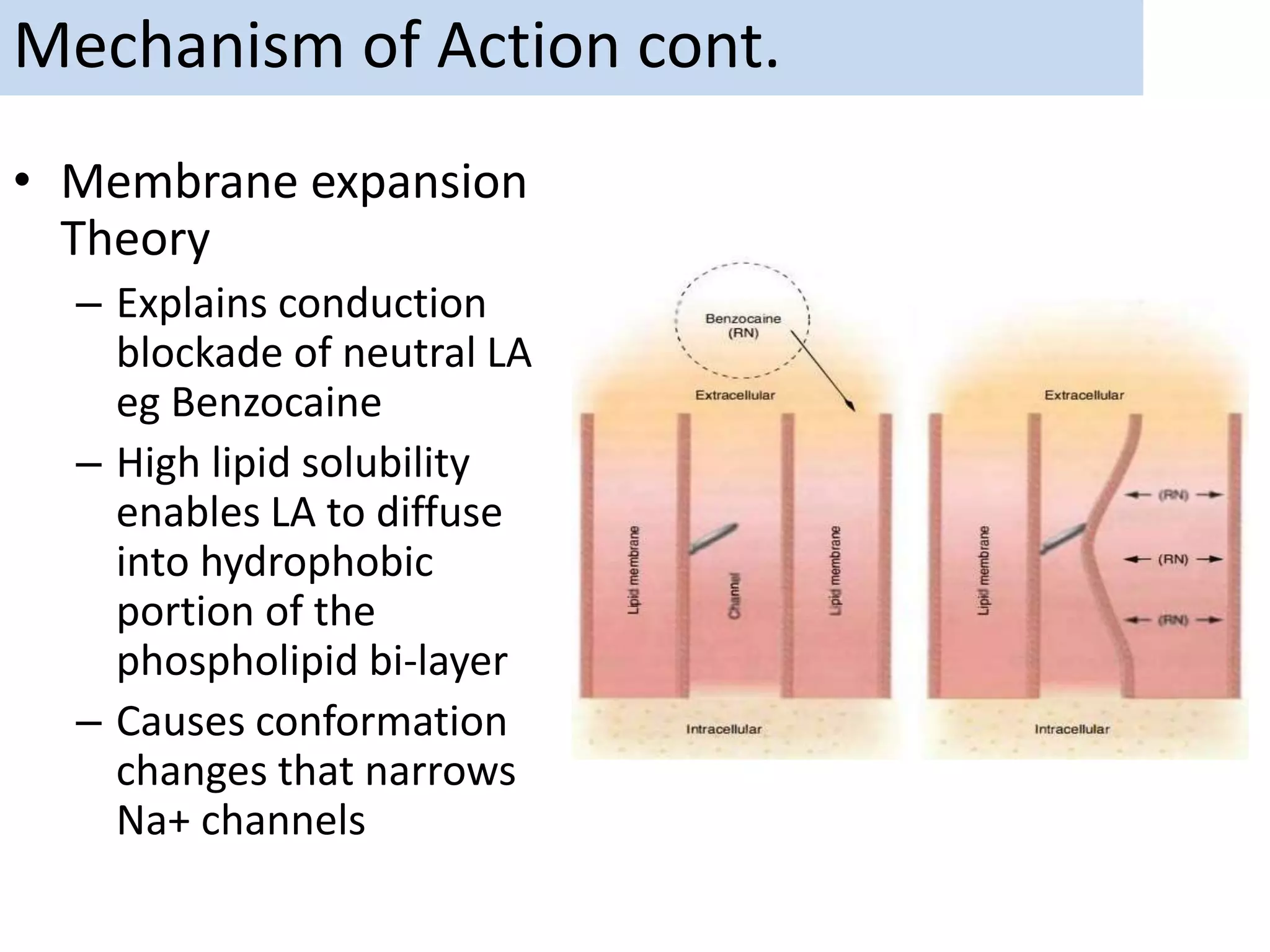 Local anesthetic agents | PPTX