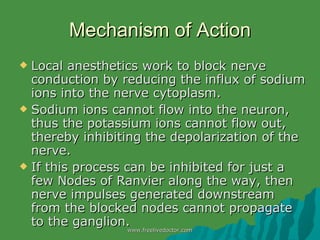 Local anesthetics | PPT