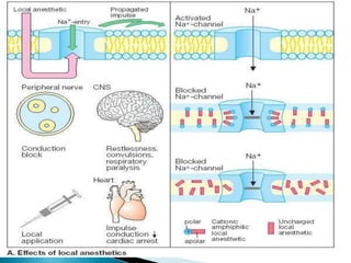Local anesthetics and techniques of anesthesia | PPTX