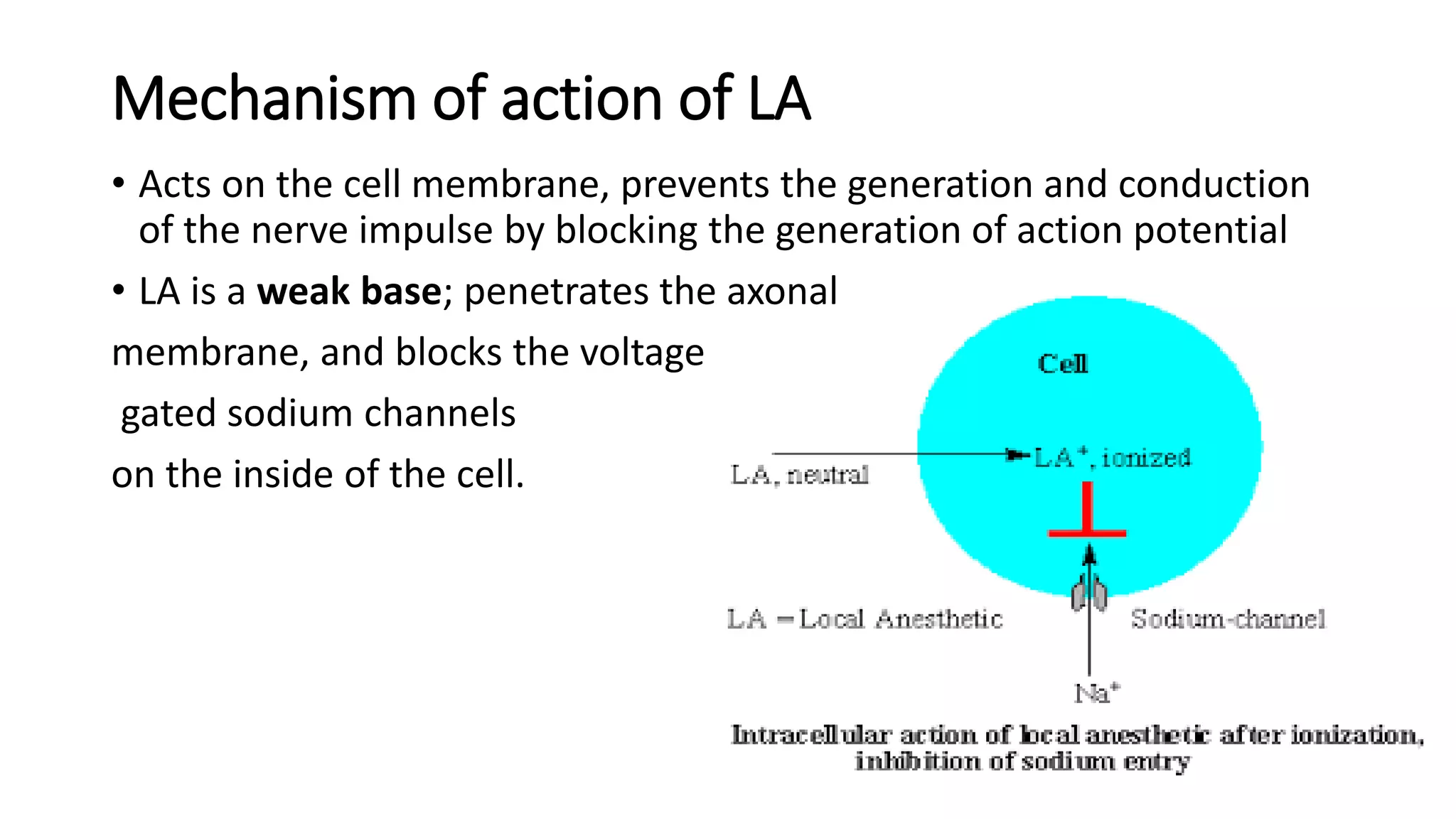 Local anesthetics | PPTX