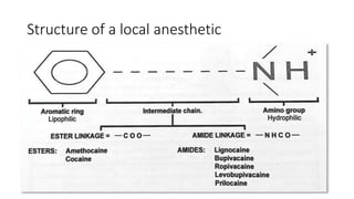Local anesthetics | PPTX