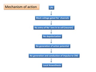 Local anesthetics | PPTX