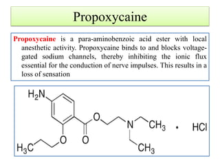 Local Anesthetics-medicinal chemistry | PPTX | First Aid | Injuries