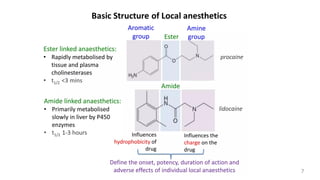 Local anesthetics 2024/ Medicinal Chemistry pdf | PDF