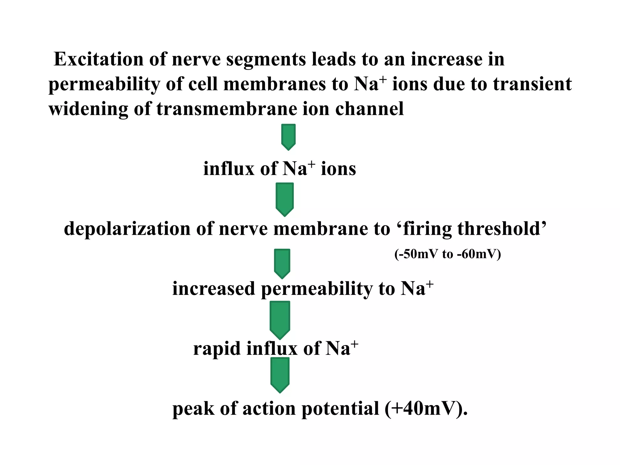 LOCAL ANESTHETICS-WPS Office.pptx