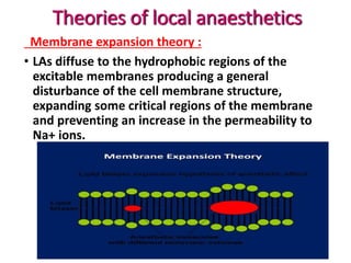LOCAL ANESTHETICS-WPS Office.pptx