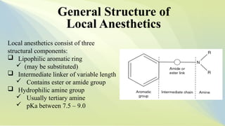 Local Anesthetics Group 5 Section B.pptx