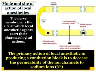 Local anesthetic solution | PPTX