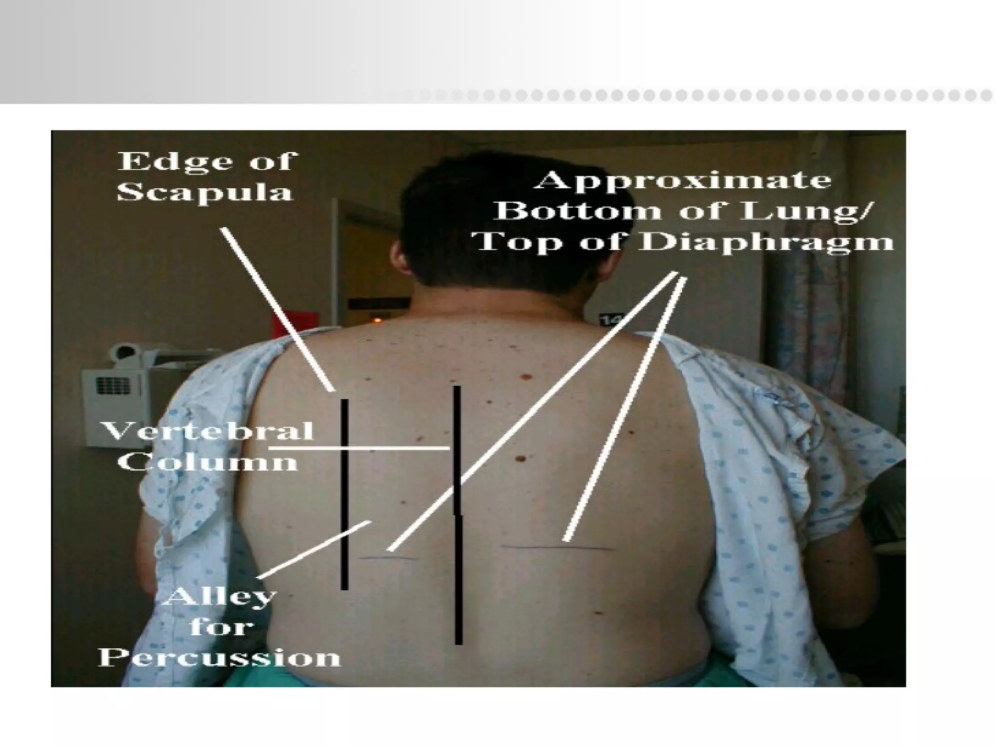 Local chest examination | PPT