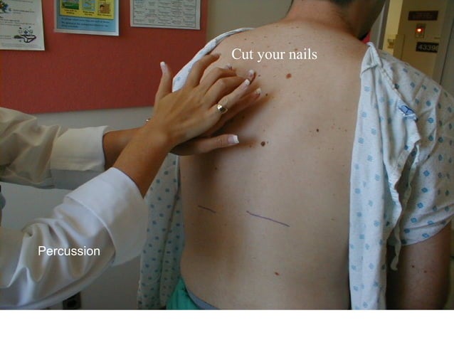 Local chest examination | PPT