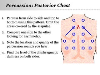 Local chest examination | PPT