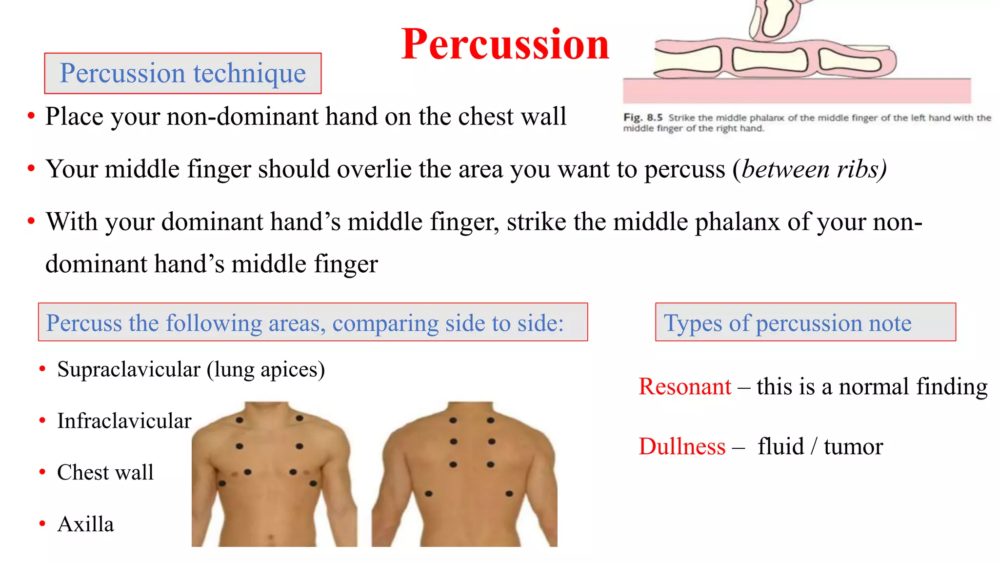Local chest examination | PPTX | Lung and Respiratory Health | Diseases ...
