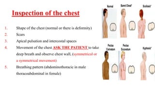 Local chest examination | PPTX