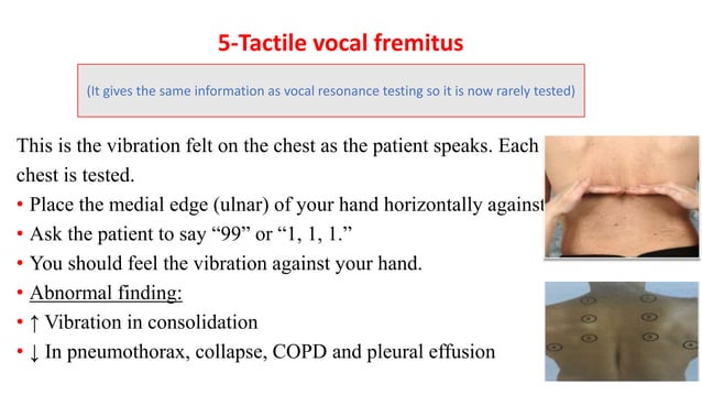 Local chest examination | PPTX | Lung and Respiratory Health | Diseases ...