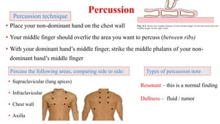 Local chest examination | PPTX