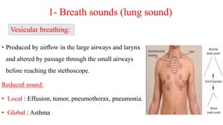 Local chest examination | PPTX