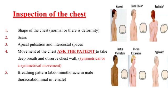 Local chest examination