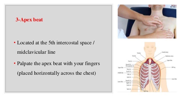Local chest examination