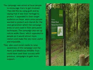 Local community campaigns powerpoint milly green | PPT