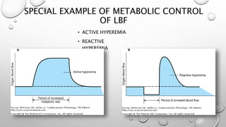 Local control of blood flow by the tissue | PPTX