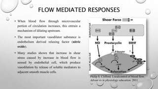 Local control of blood flow by the tissue | PPTX