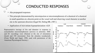 Local control of blood flow by the tissue | PPTX