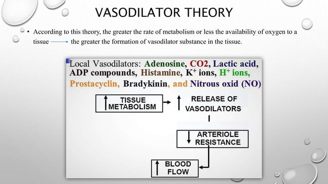 Local control of blood flow by the tissue | PPTX