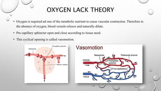 Local control of blood flow by the tissue | PPTX
