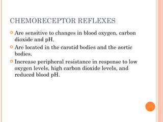 Local control of blood vessels | PPT
