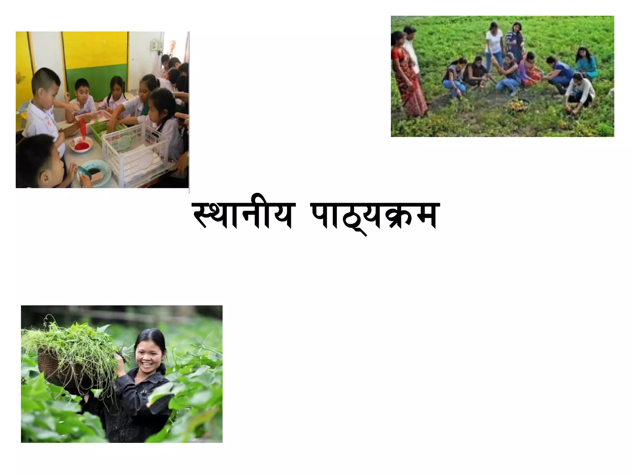 Local curriculum 0 | PPT