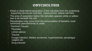 local disorders of the nail apparatus.pptx