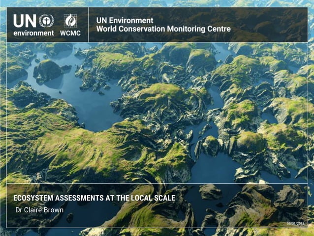 Ecosystem Assessments at the Local Scale - Dr. Claire Brown (UNEP-WCMC) | PPTX