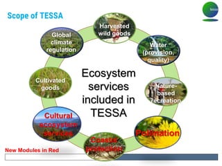 Ecosystem Assessments at the Local Scale - Dr. Claire Brown (UNEP-WCMC) | PPTX