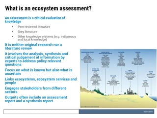 Ecosystem Assessments at the Local Scale - Dr. Claire Brown (UNEP-WCMC) | PPTX