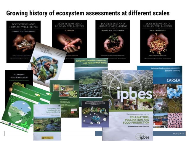 Ecosystem Assessments at the Local Scale - Dr. Claire Brown (UNEP-WCMC) | PPTX