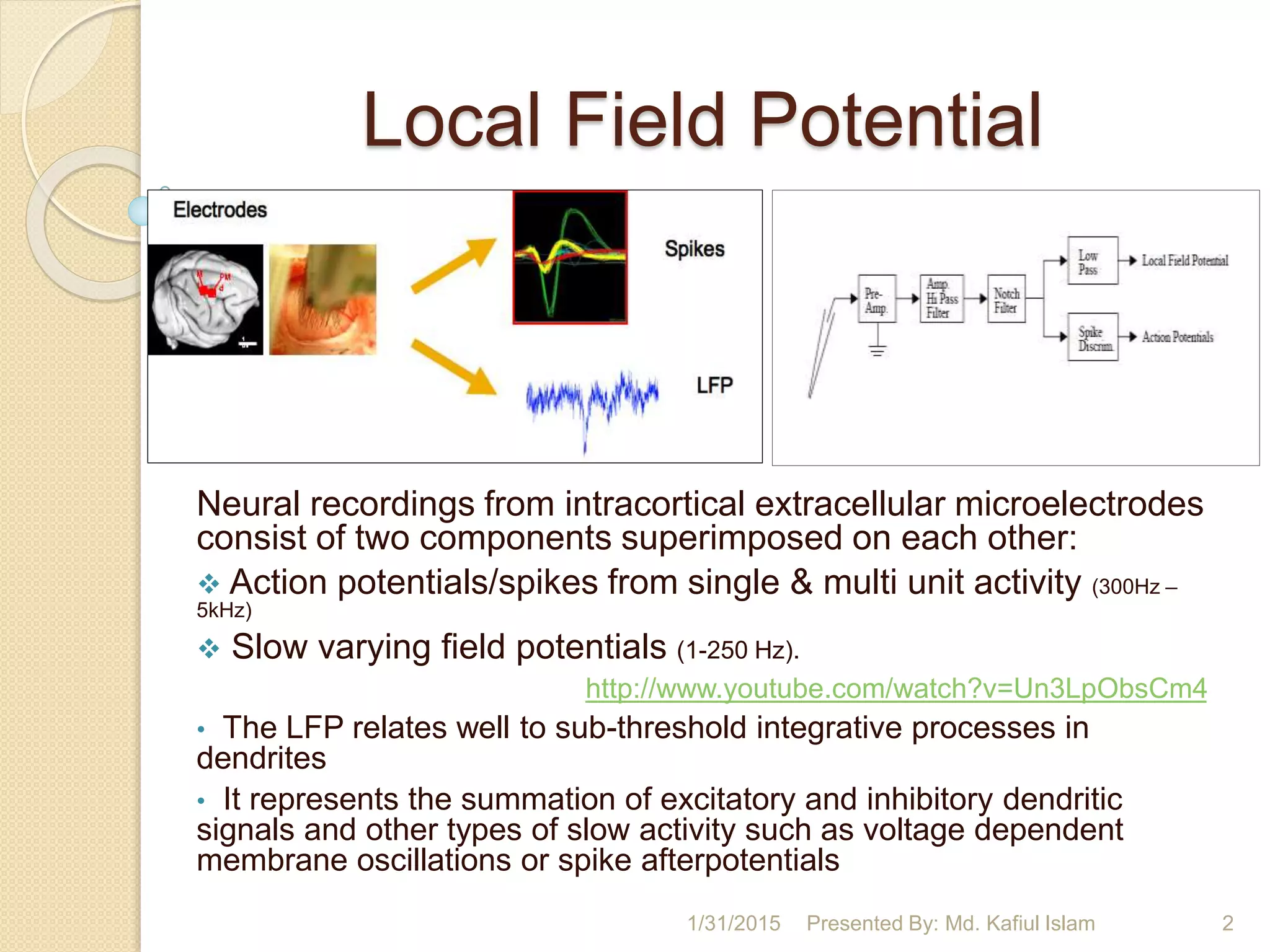 Local Field Potential (LFP): Literature Review | PPTX