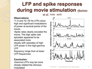 Local Field Potential (LFP): Literature Review | PPTX