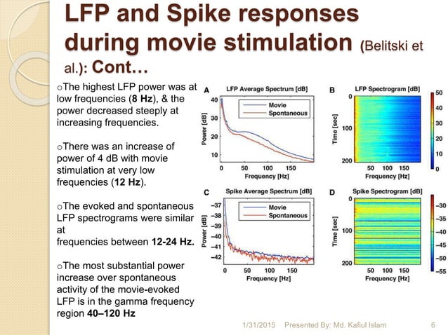 Local Field Potential (LFP): Literature Review | PPT