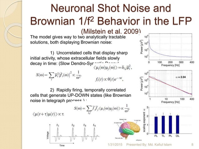 Local Field Potential (LFP): Literature Review | PPT