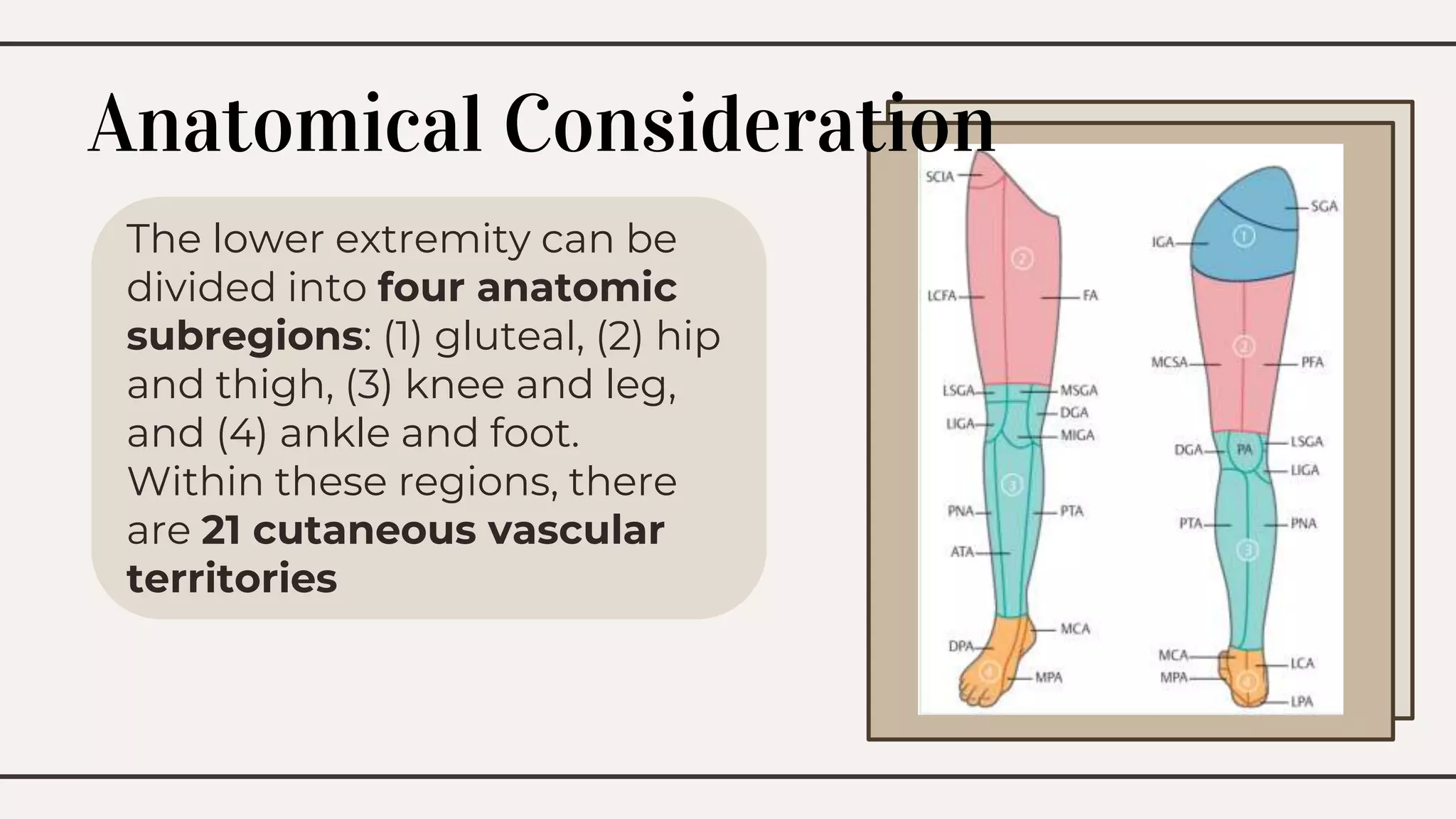 Local Flap of Lower Extremity.pptx