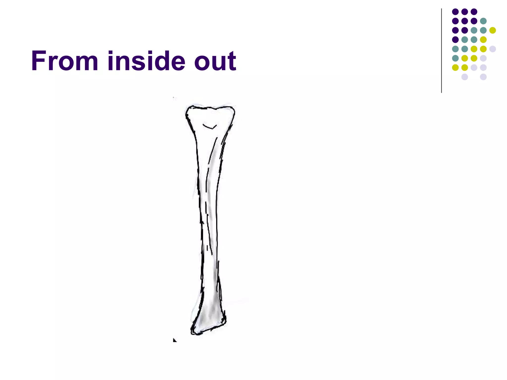 Local Flaps For Lower Limb Reconstruction Version1 | PPT