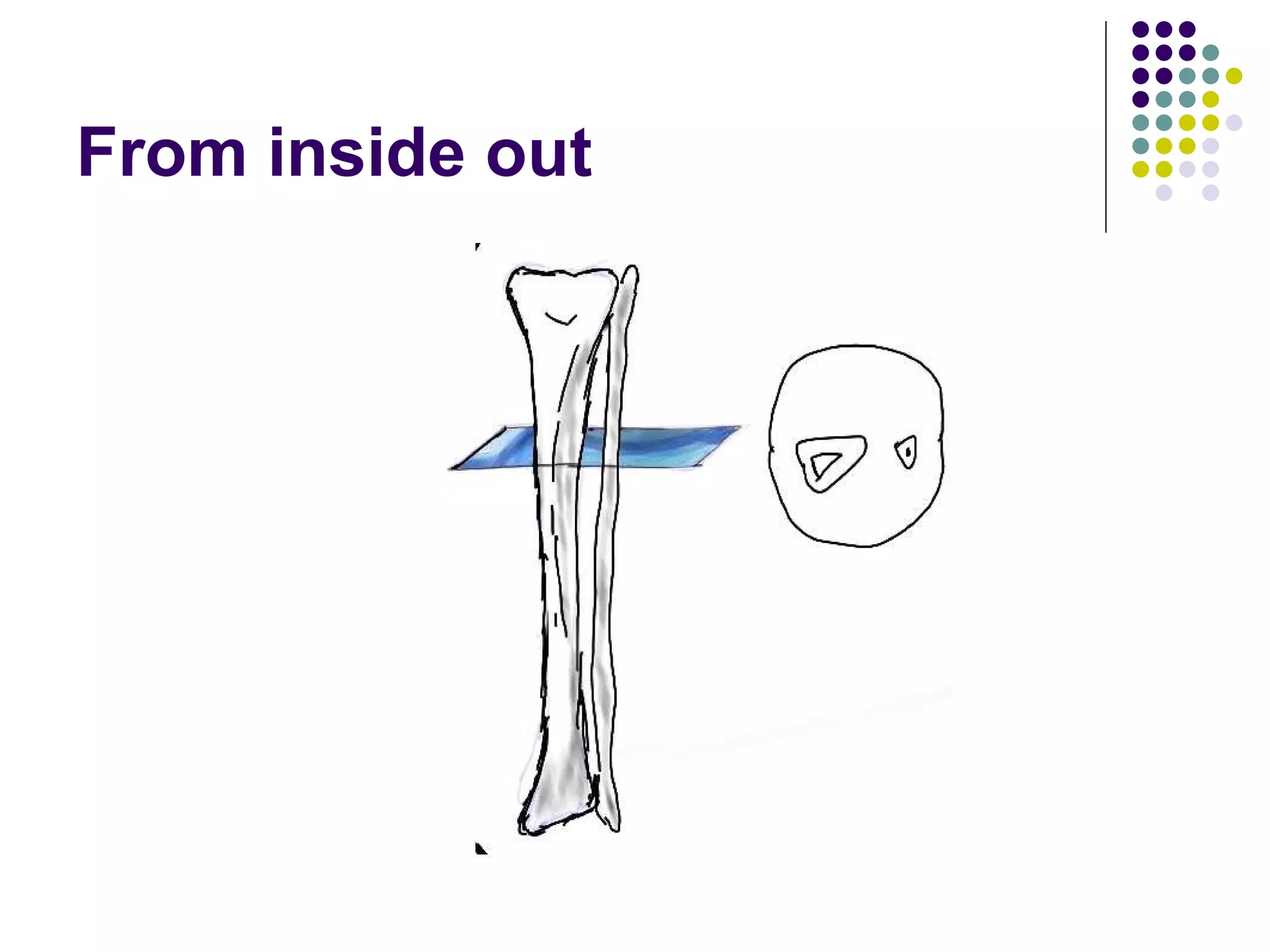 Local Flaps For Lower Limb Reconstruction Version1 | PPT