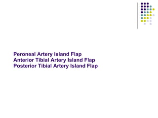 Local Flaps For Lower Limb Reconstruction Version1 | PPT