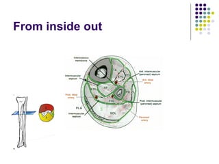 Local Flaps For Lower Limb Reconstruction Version1 | PPT