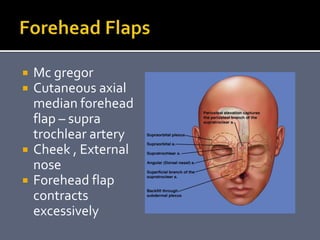 Local flaps in ent | PPTX
