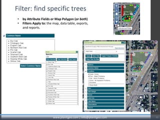 government tree inventory software, work order, and data management ...
