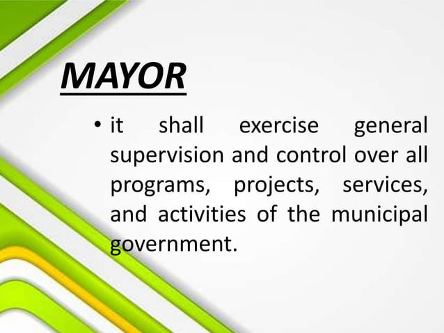 local government unit.pptx