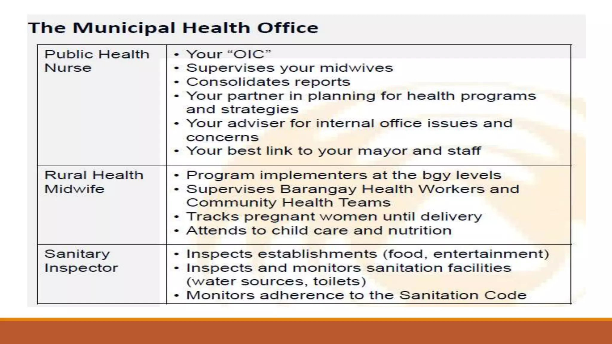 Local Health System Organizational Structure.pptx